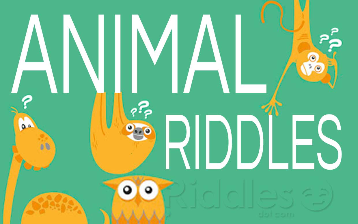 75 Animal Riddles Jokes And Brain Teasers With Answers Riddles